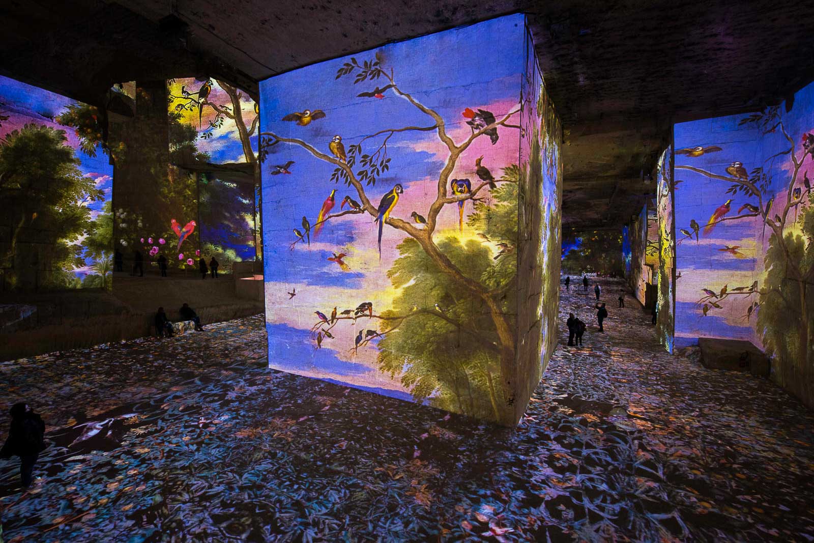Gianfranco Iannuzzi | Immersive art experience